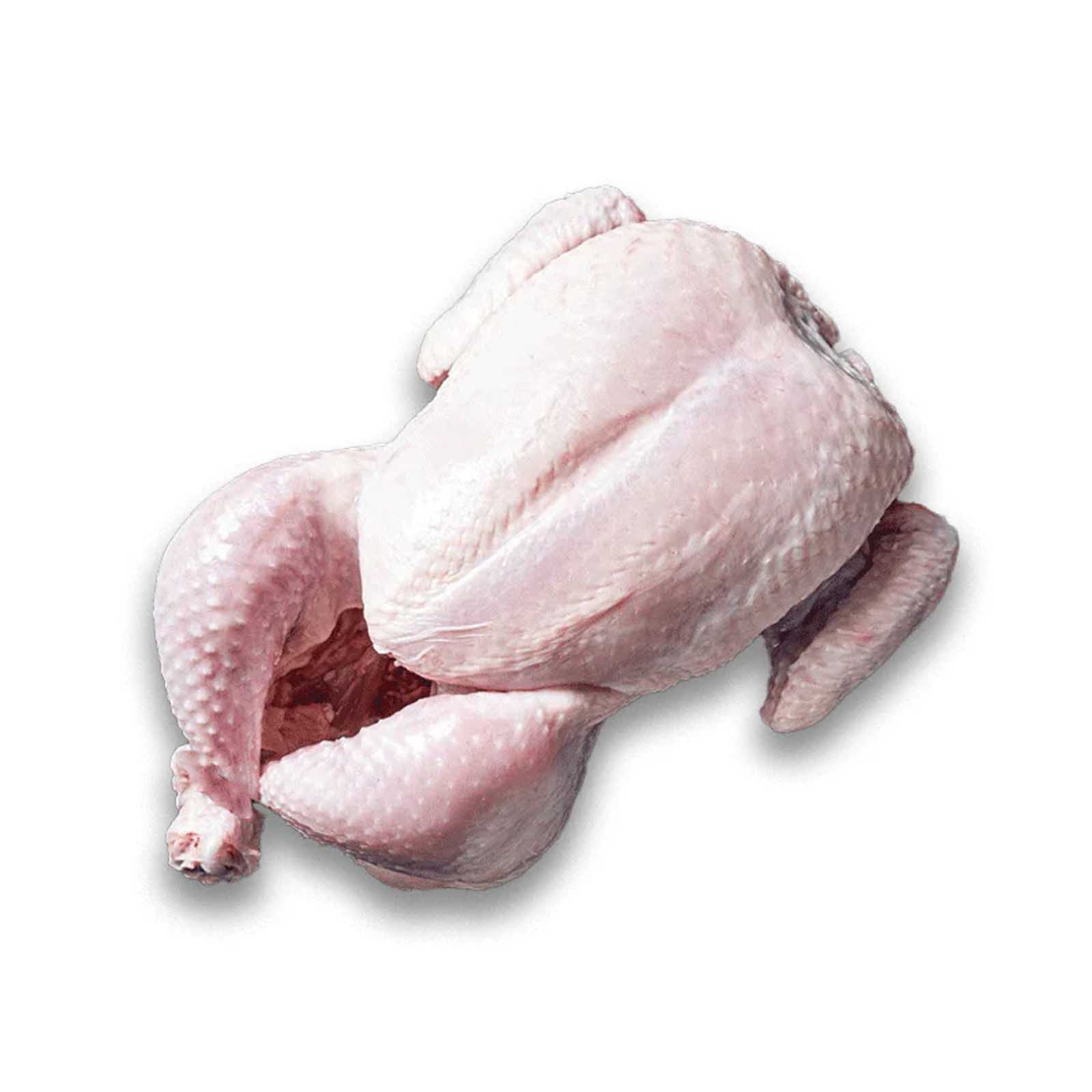 CHICKEN WHOLE FROZEN GOLDEN PHOENIX ( 10 X 1.3 kg )